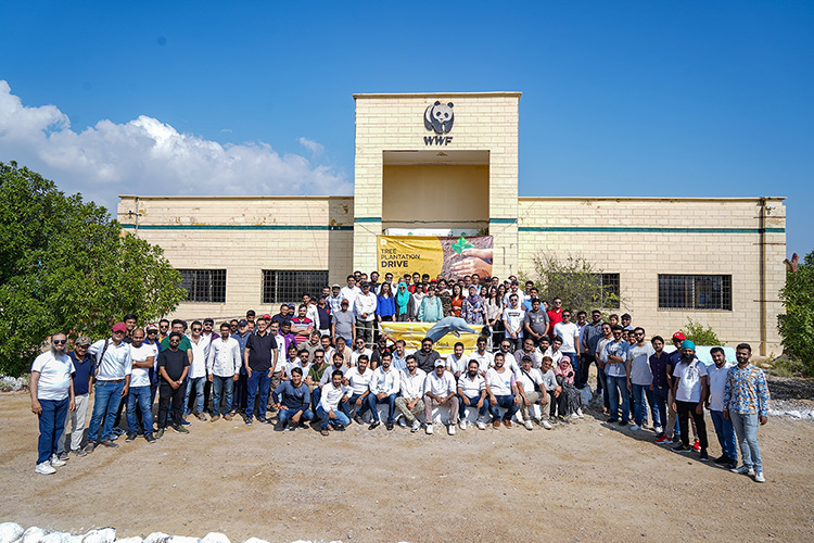 Press Releases | Soneri